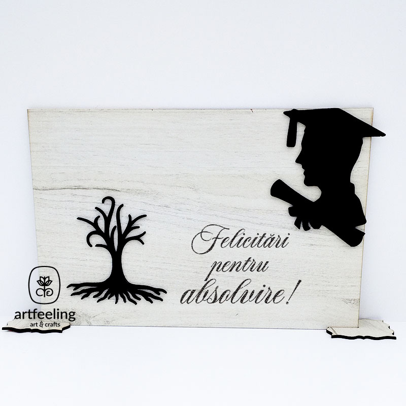 BAZA LICHENI- ABSOLVENT CU DIPLOMA- COPAC